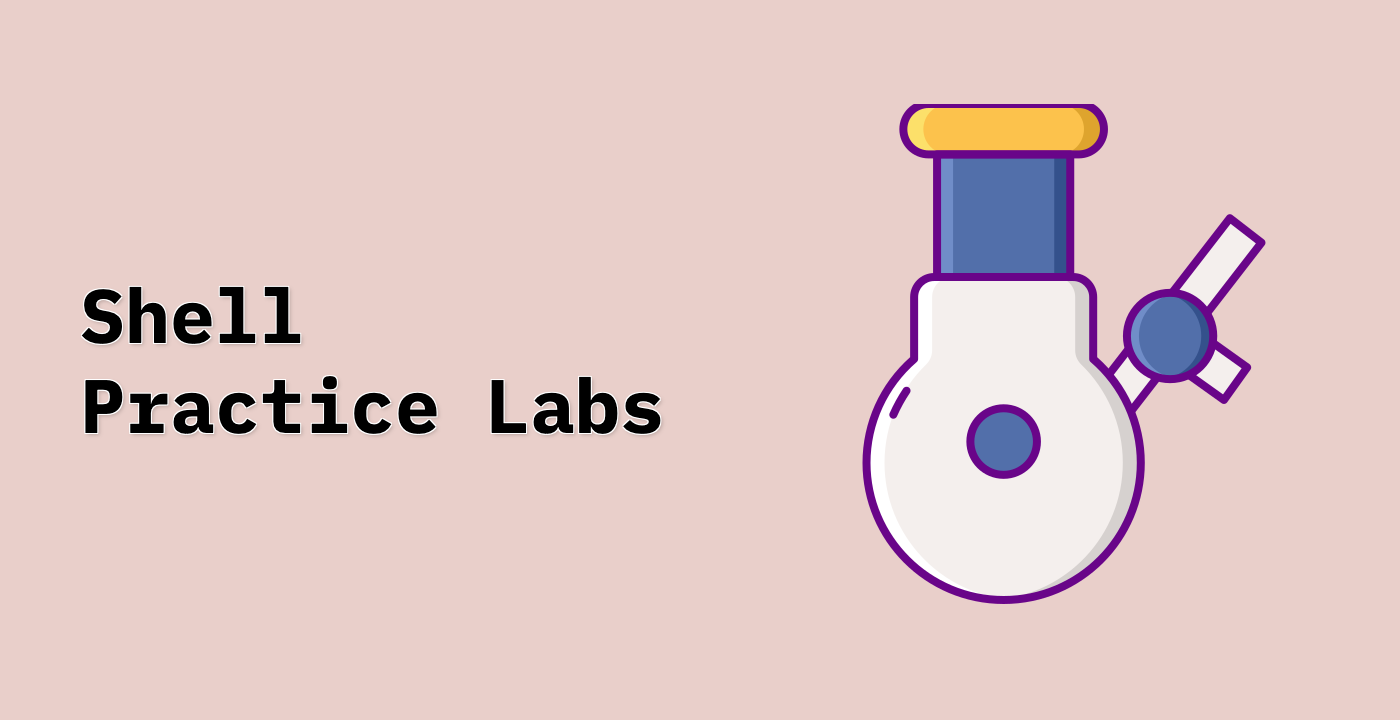 Shell Practice Labs: Hands-on Shell Scripting Course | LabEx